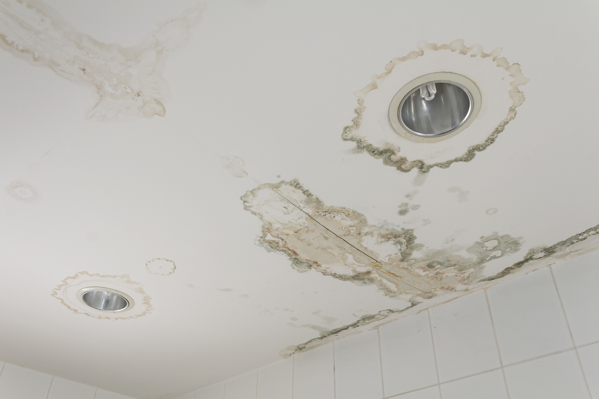 Different Types of Water Damage: How to Fix and Prevent Further Damage